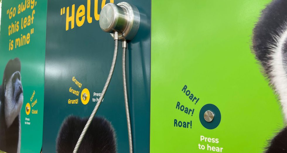 Audio Sign and Outdoor PIR Speaker – ZSL London Zoo - blackbox-av
